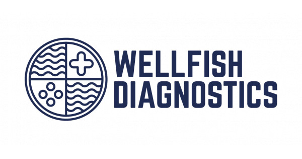 SEA.WORK - Commercial Director